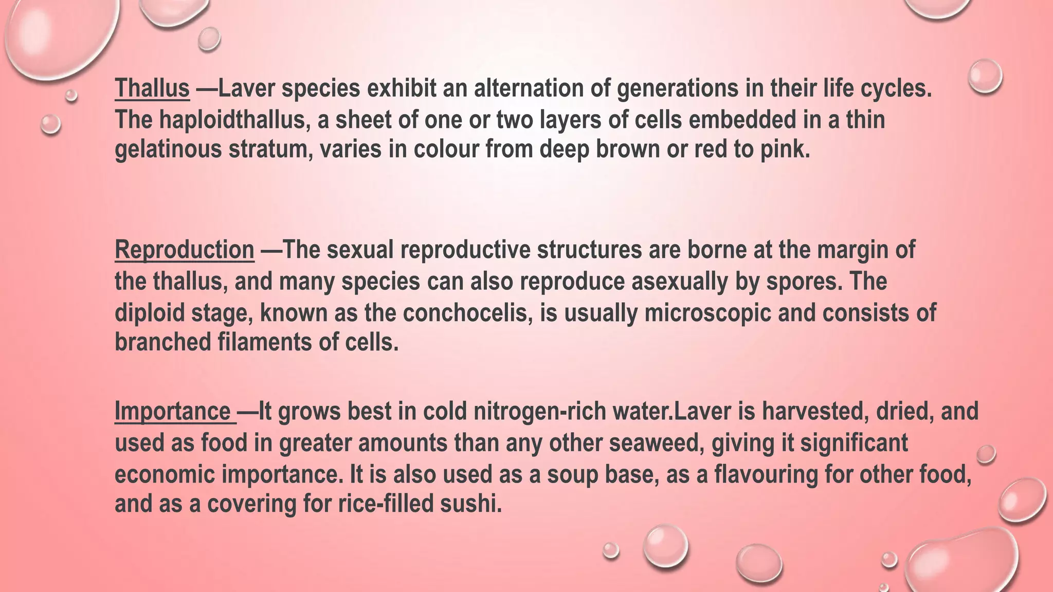 red algae.pptx