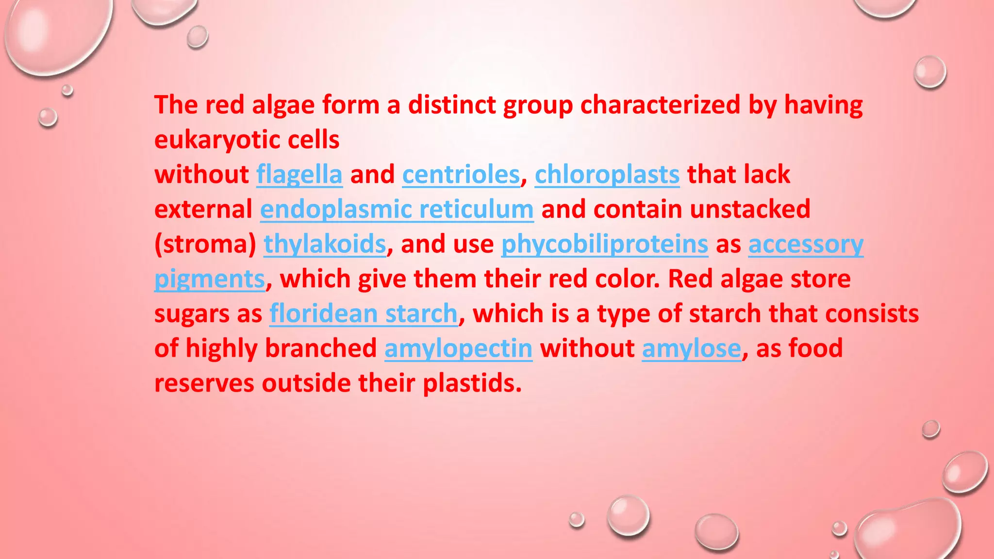 red algae.pptx