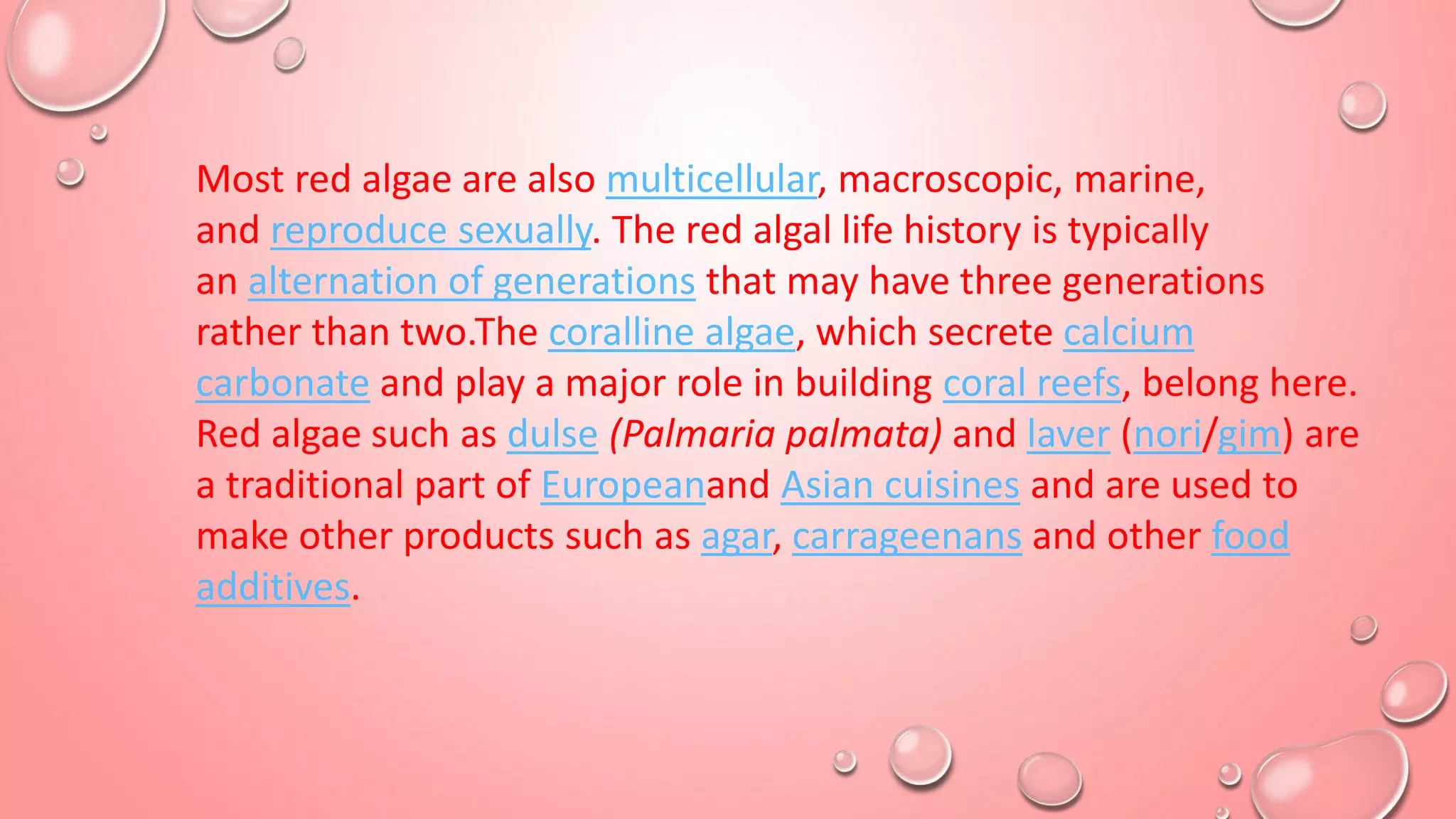 red algae.pptx