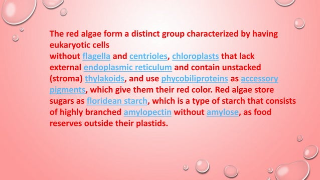 red algae.pptx