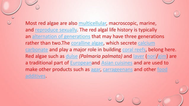 red algae.pptx