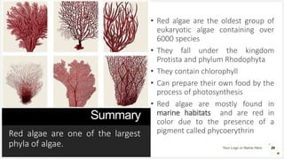 RED ALGAE.pptx