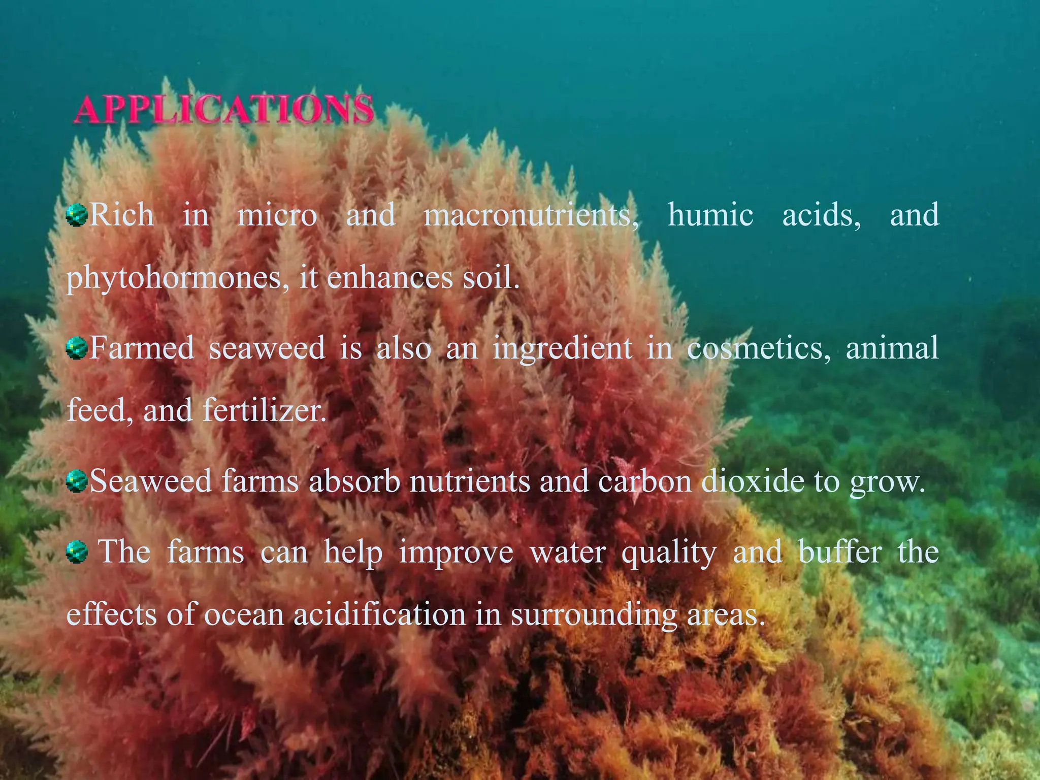 Red Algae / Biology/ Taxonomy/ Applications | PPTX