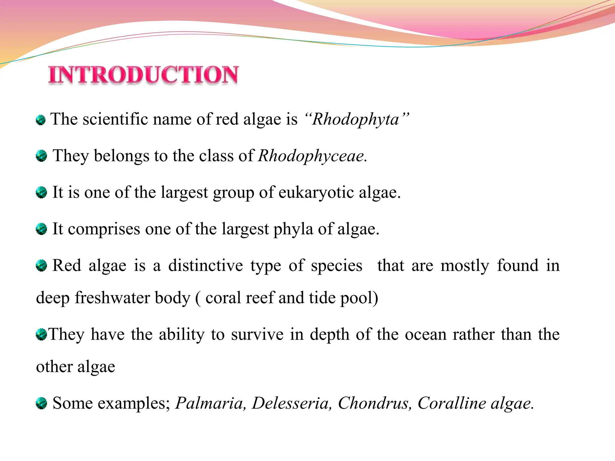 Red Algae / Biology/ Taxonomy/ Applications | PPTX