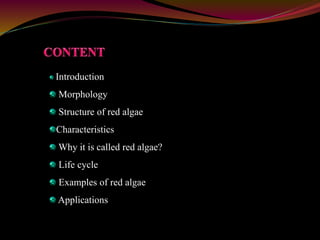 Red Algae / Biology/ Taxonomy/ Applications | PPTX