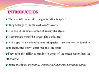 Red Algae / Biology/ Taxonomy/ Applications | PPTX