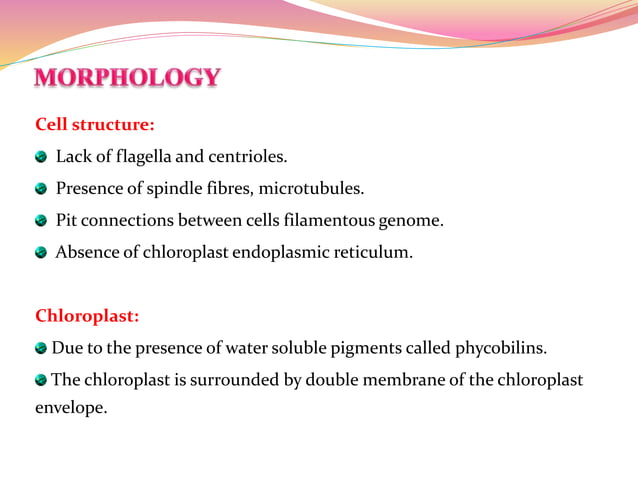 Red Algae / Biology/ Taxonomy/ Applications | PPT