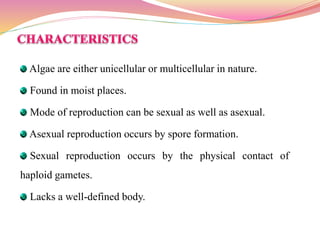 Red Algae / Biology/ Taxonomy/ Applications | PPTX