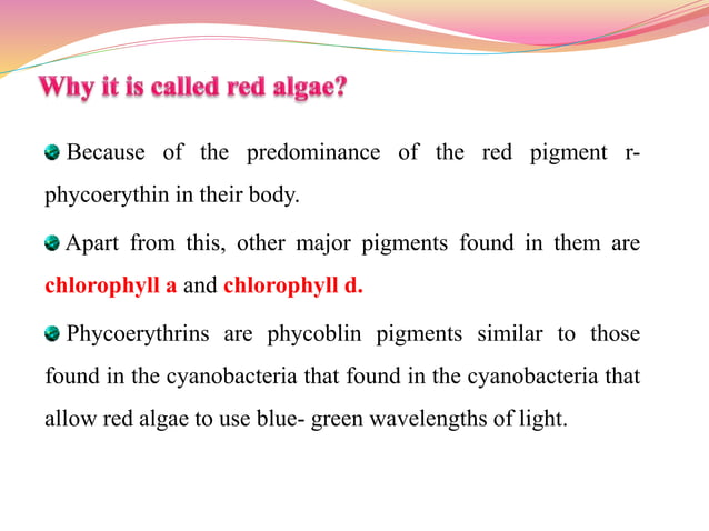 Red Algae / Biology/ Taxonomy/ Applications | PPT