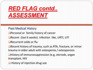 RED AND YELLOW FLAG.pptx red and yellow flag for low back pain | PPTX