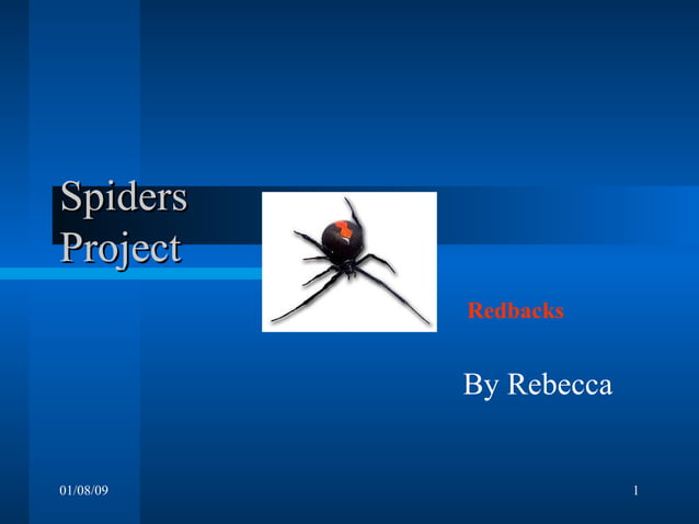 R Ed Back Spiders Rebecca | PPT