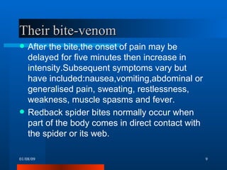 R Ed Back Spiders Rebecca | PPT