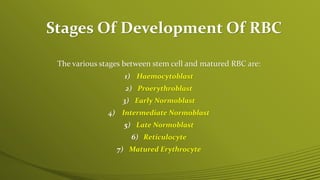 Red Blood Cell | PPTX