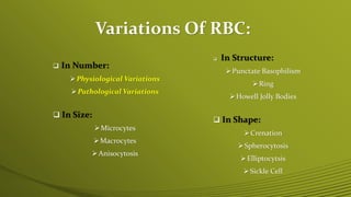 Red Blood Cell | PPTX