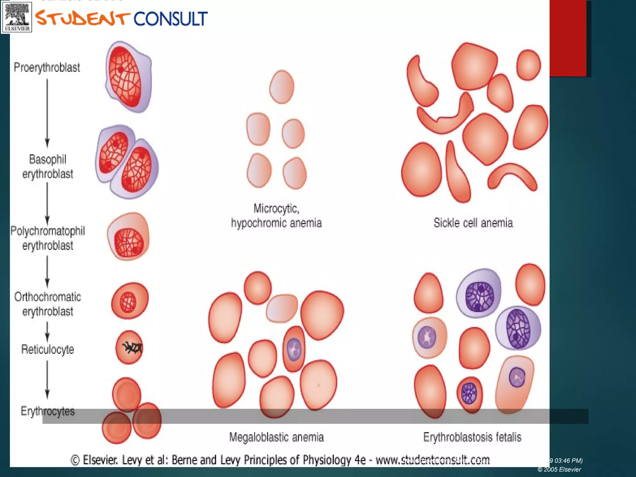 Red blood cell & bleeding disorders | PPT