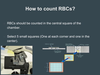 Redbloodcellcount 131025052708-phpapp02.ppsx