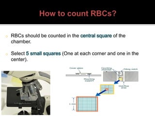 Red blood cell count | PPSX