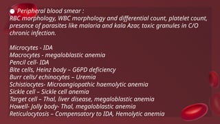 Red Blood Cell Disorder_ Hemolytic Anemia by Slidesgo copy.pptx