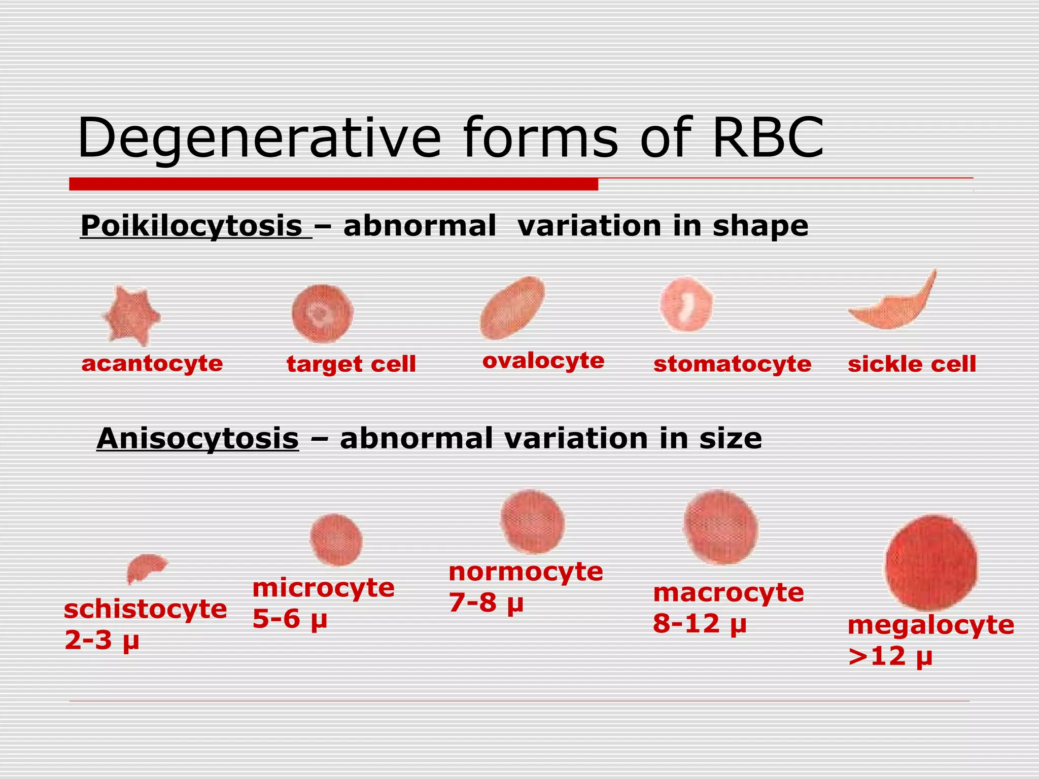 Red Blood cell pathology | PPT