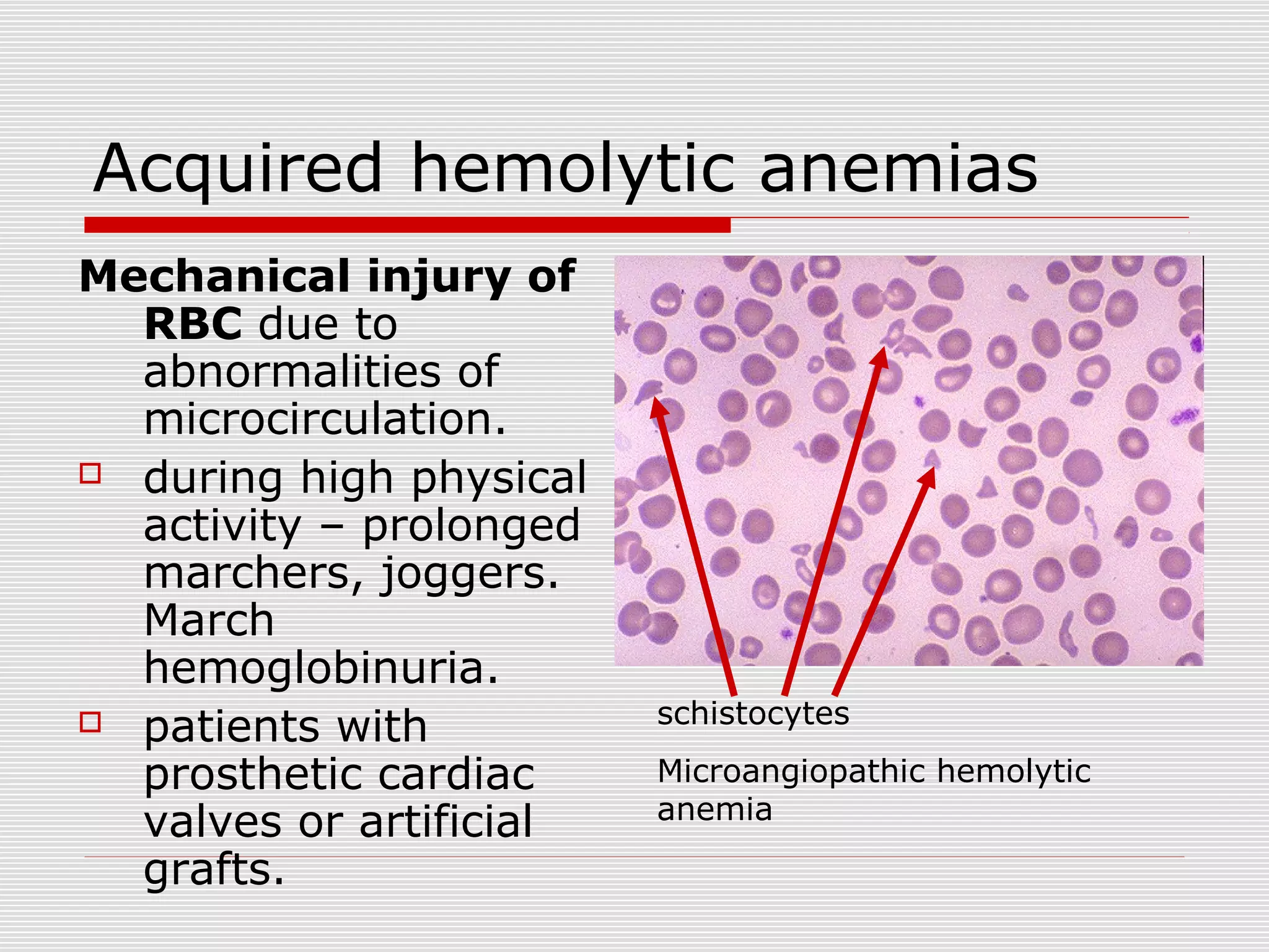 Red Blood cell pathology | PPT