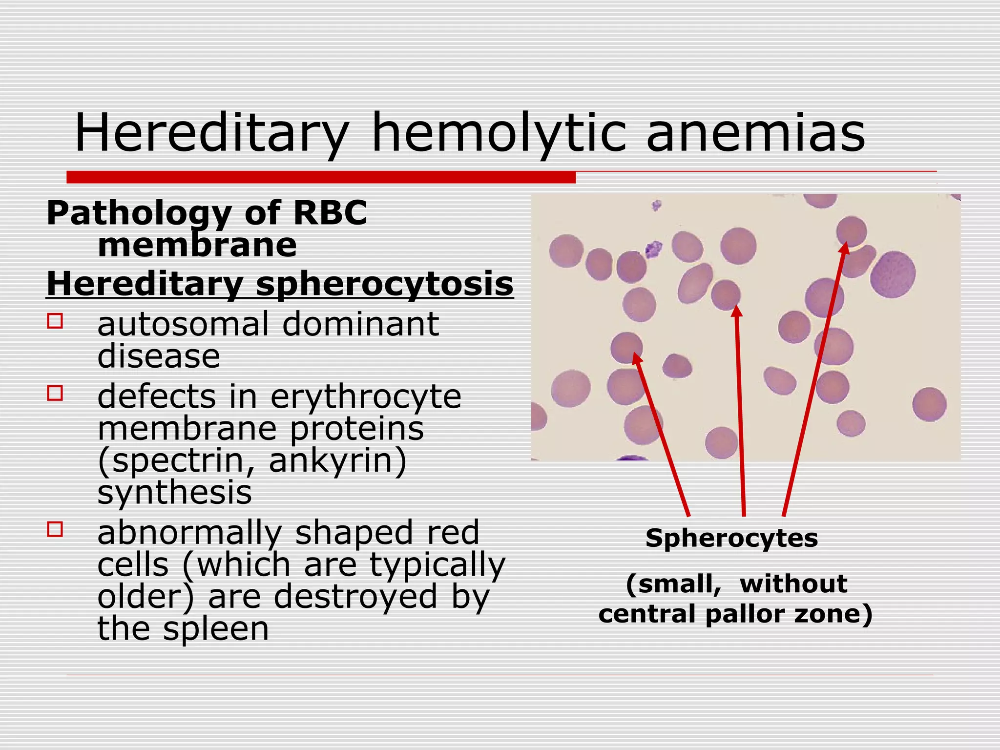 Red Blood cell pathology | PPT
