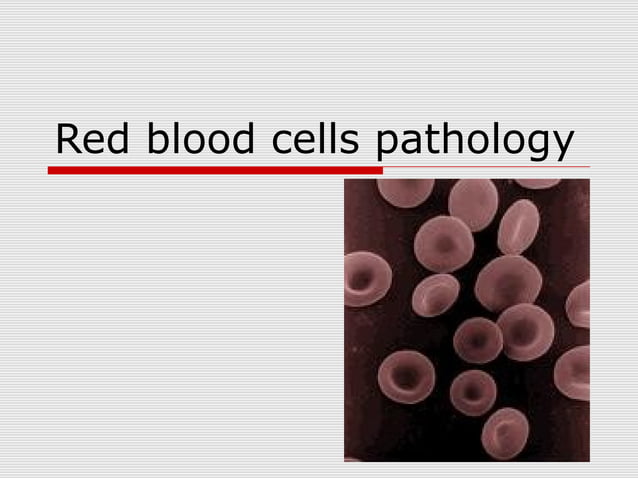 Red Blood cell pathology | PPT | Blood Disorders | Diseases and Conditions
