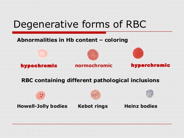 Red Blood cell pathology
