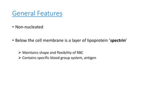 Red blood cells | PDF