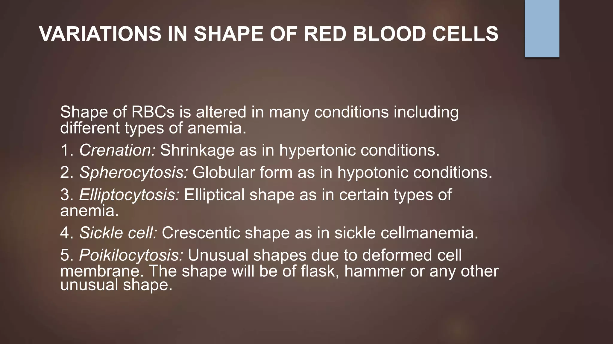 RED BLOOD CELLS.pptx