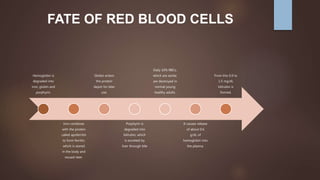 RED BLOOD CELLS.pptx
