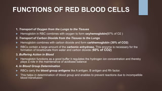 RED BLOOD CELLS.pptx