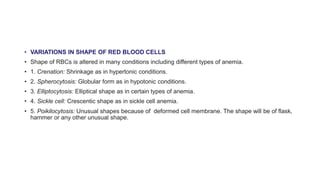 Red blood cells- genesis-maturation.pptx