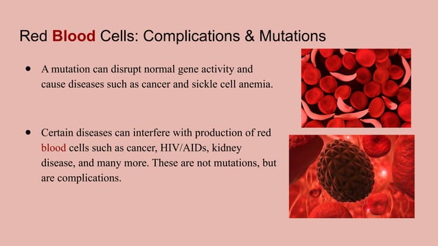 red blood cells powerpoint learning kids | PPTX