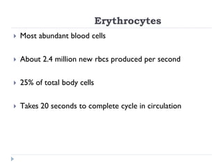 RED BLOOD CELLS.pdf year one physiology2024 | PDF