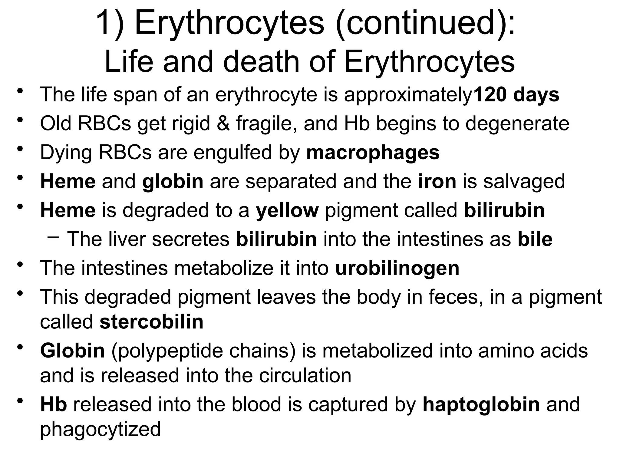 RED BLOOD CELLS PHYSIOLOGY vvvvvvvvv.pptx