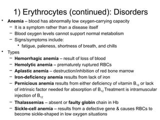 RED BLOOD CELLS PHYSIOLOGY vvvvvvvvv.pptx
