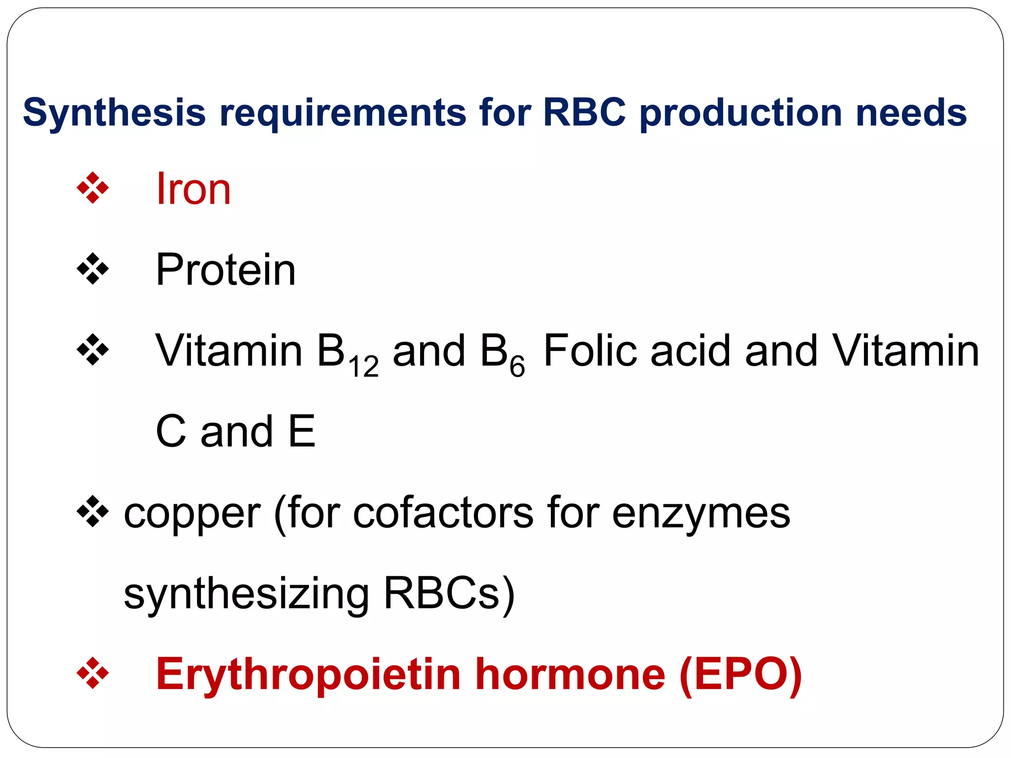 Red Blood Cells Production- Erythropoiesis.ppt
