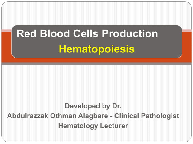 Red Blood Cells Production- Erythropoiesis.ppt | Blood Disorders ...