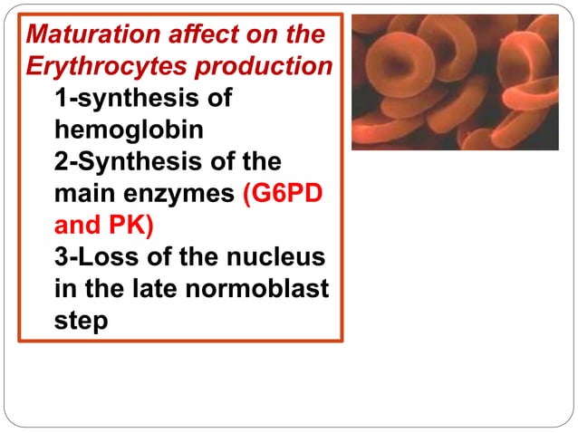 Red Blood Cells Production- Erythropoiesis.ppt | Blood Disorders ...