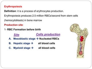 Red Blood Cells Production- Erythropoiesis.ppt