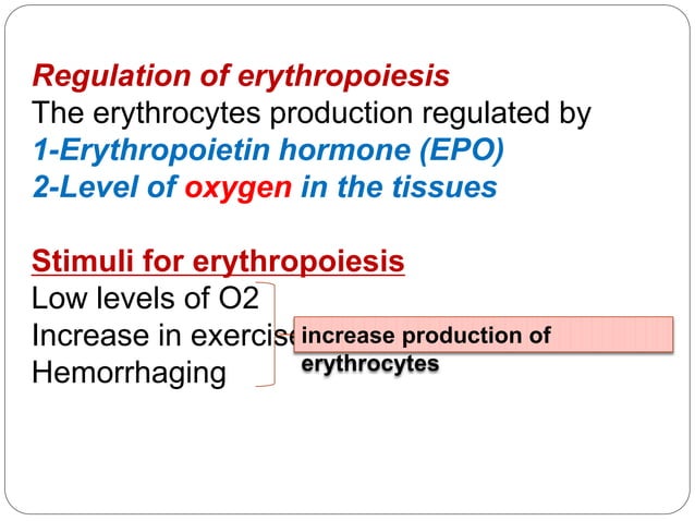 Red Blood Cells Production- Erythropoiesis.ppt | Blood Disorders ...