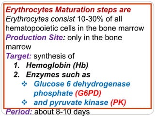 Red Blood Cells Production- Erythropoiesis.ppt