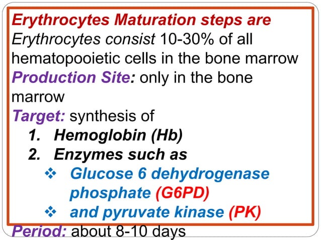Red Blood Cells Production- Erythropoiesis.ppt | Blood Disorders ...