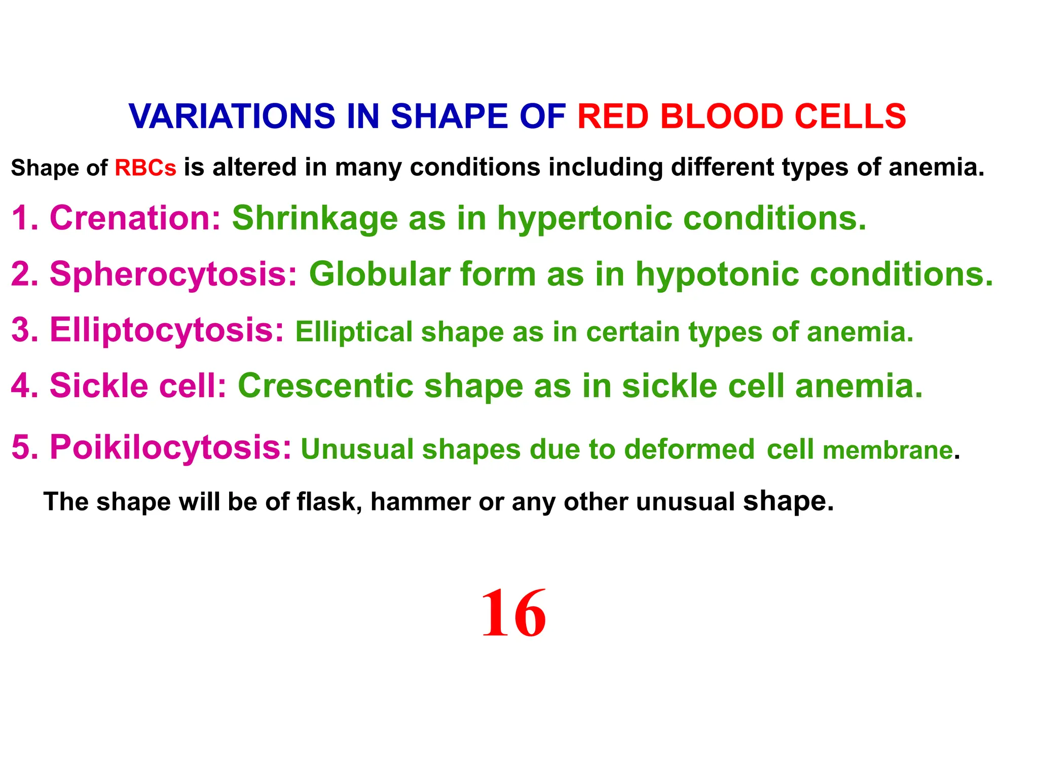 Red blood cells (RBCs).pptx