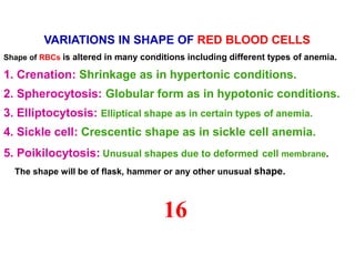 Red blood cells (RBCs).pptx
