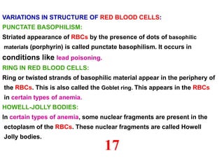 Red blood cells (RBCs).pptx