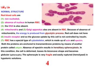 Red blood cells (RBCs).pptx