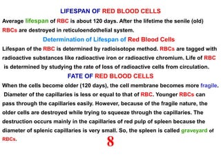 Red blood cells (RBCs).pptx