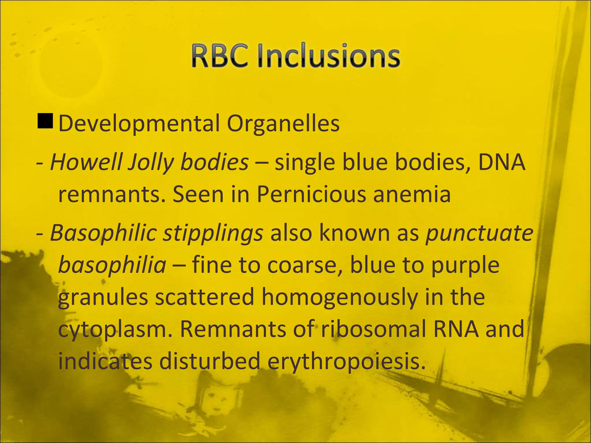 Red blood cell variation. | PPT