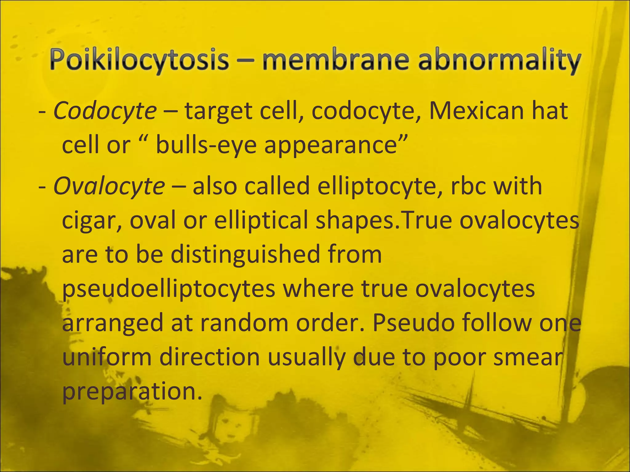 Red blood cell variation. | PPT